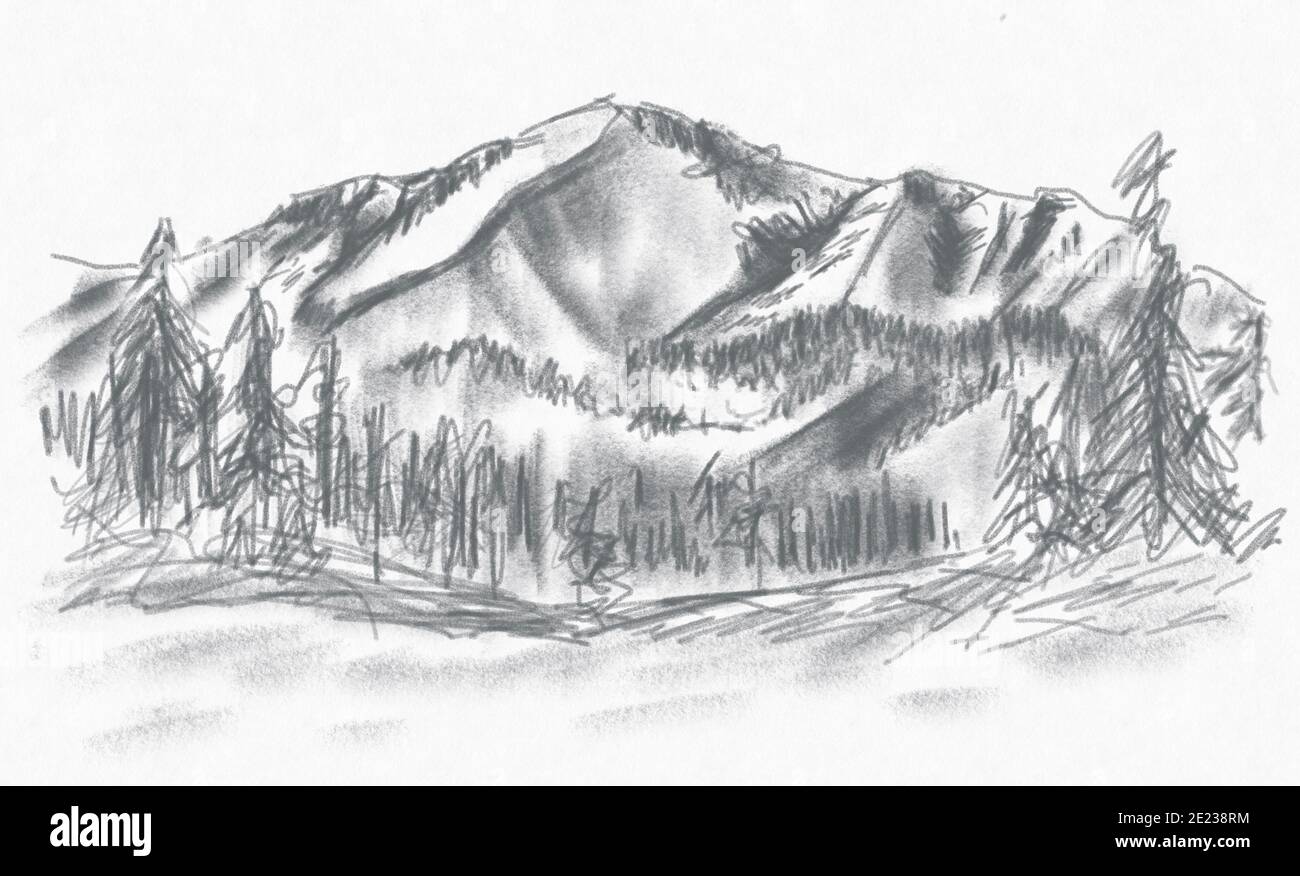 Mountain wilderness landscape with trees in the foreground sketch ...