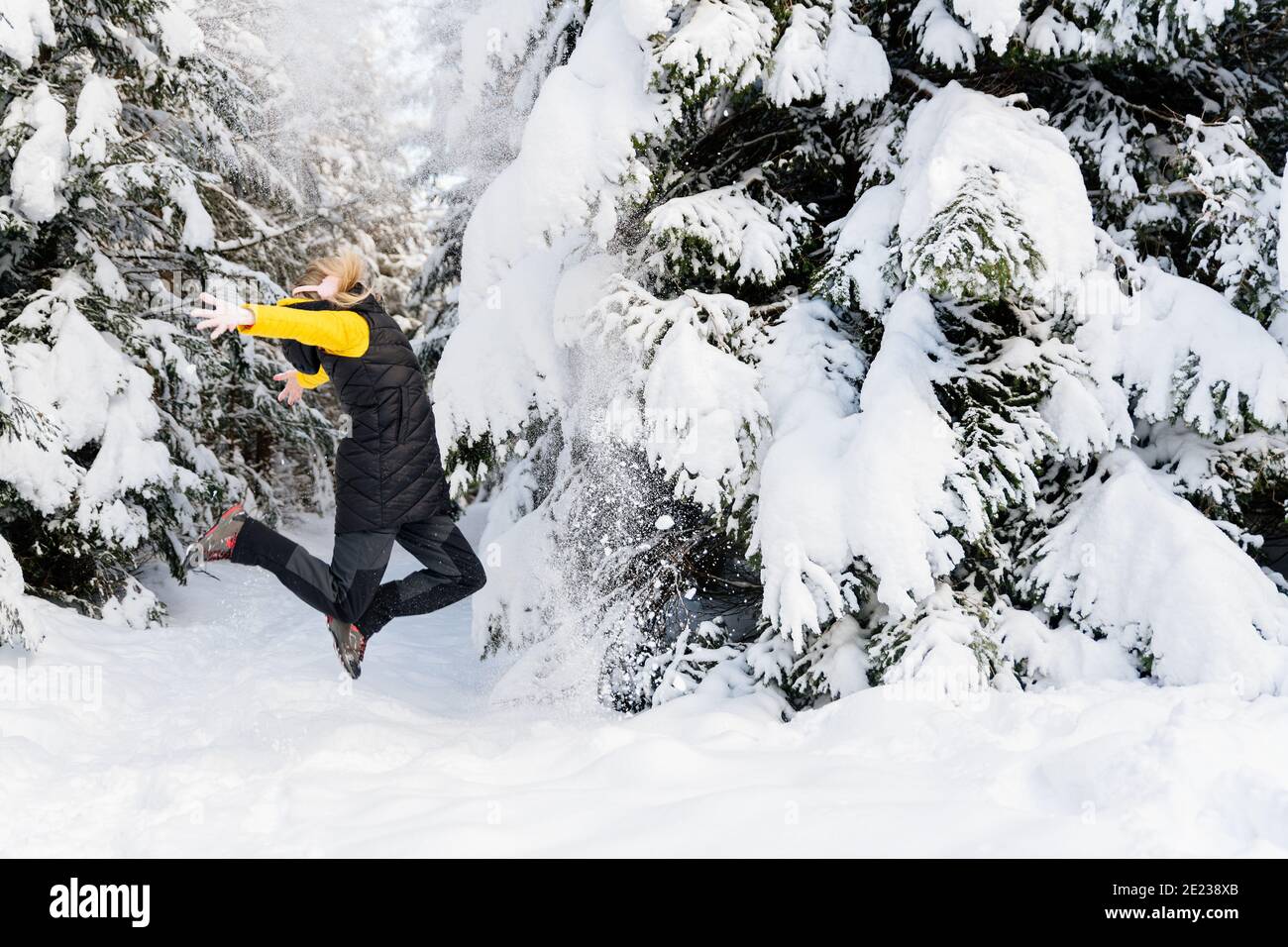 Beautiful winter scenery. The woman is jumping in the snow Stock Photo ...
