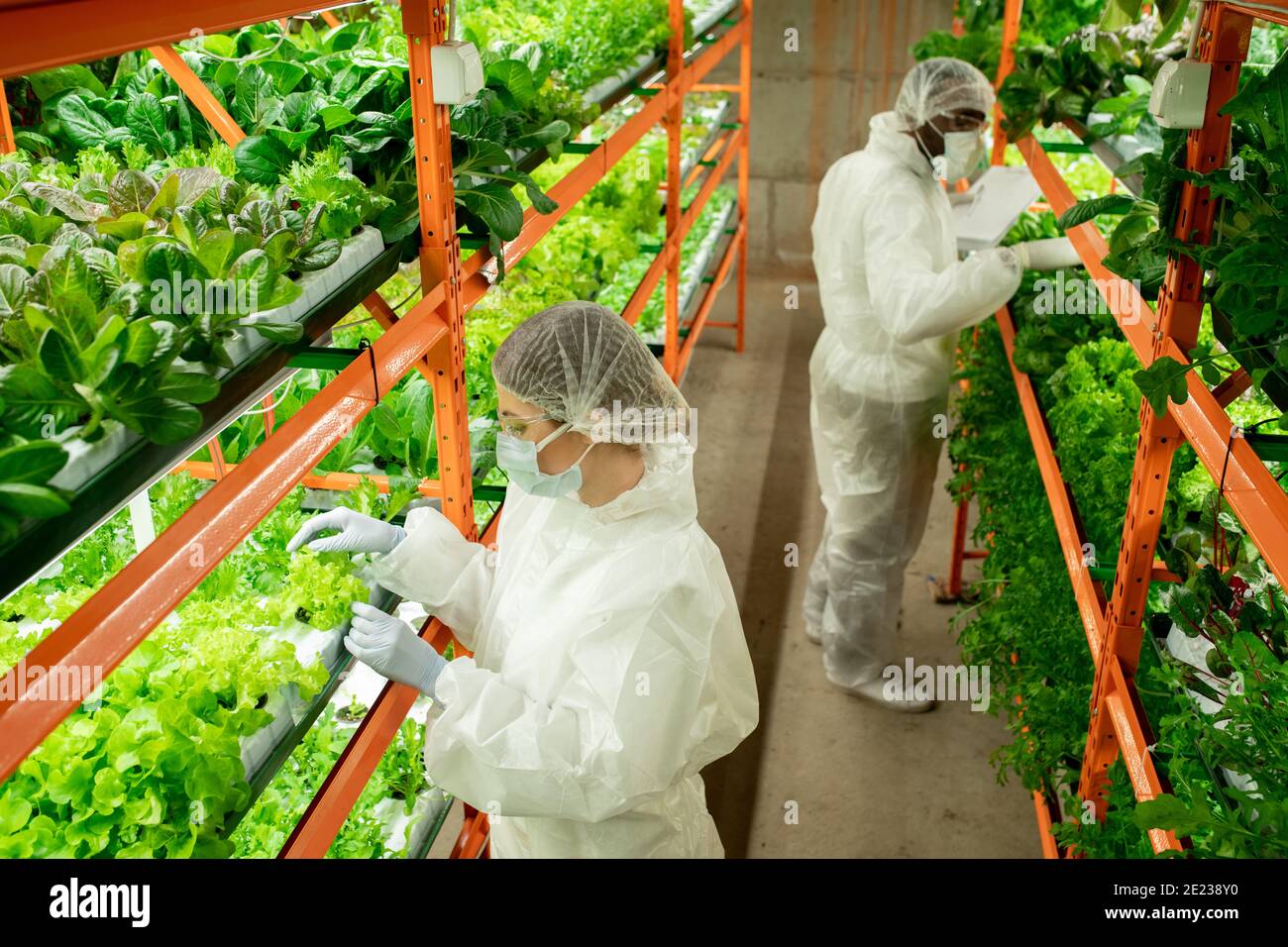 Work of science and technology workers hi-res stock photography and images - Alamy