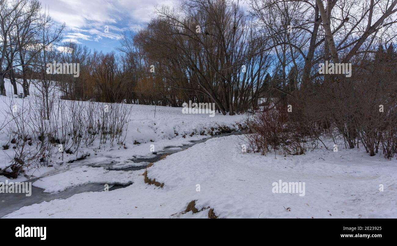 Calgary confederation park hi-res stock photography and images - Alamy
