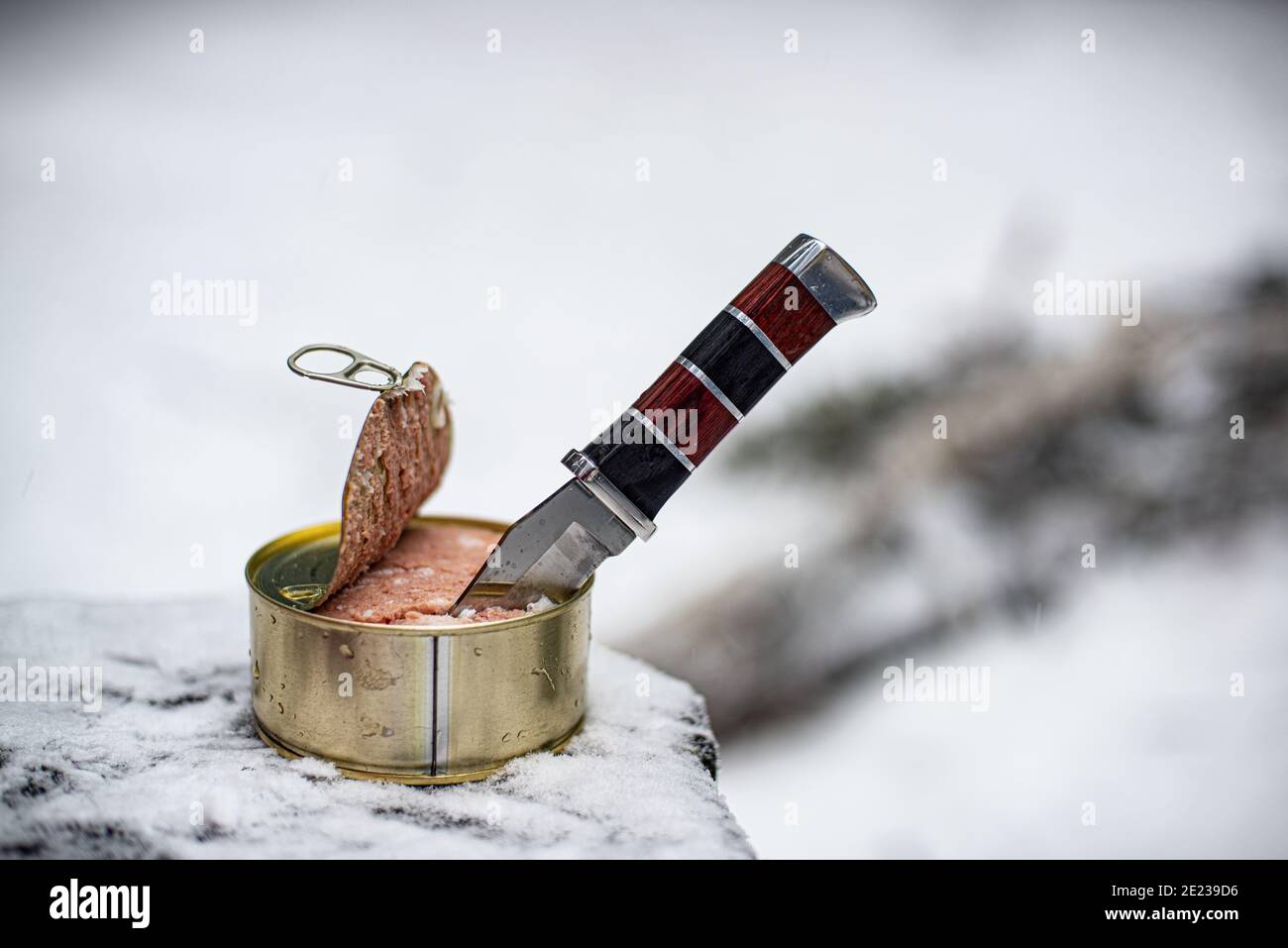 Can canned food hunting hi-res stock photography and images - Alamy