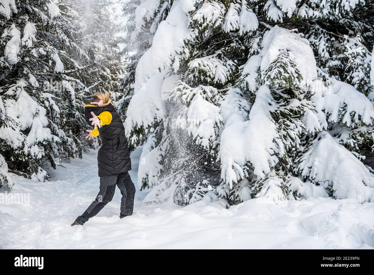Beautiful woman snowball on hi-res stock photography and images - Alamy