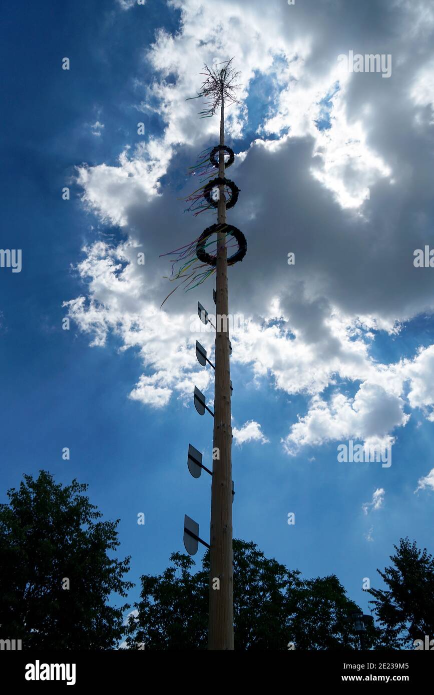 Vertical shot of a maypole symbol surrounded by trees under the cloudy ...