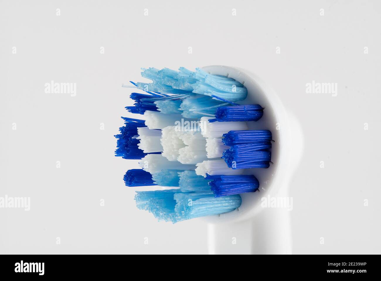 Toothbrush head hi-res stock photography and images - Alamy