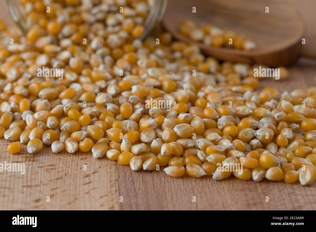 dried corn used for making popcorn with a glass and a wooden spoon in ...