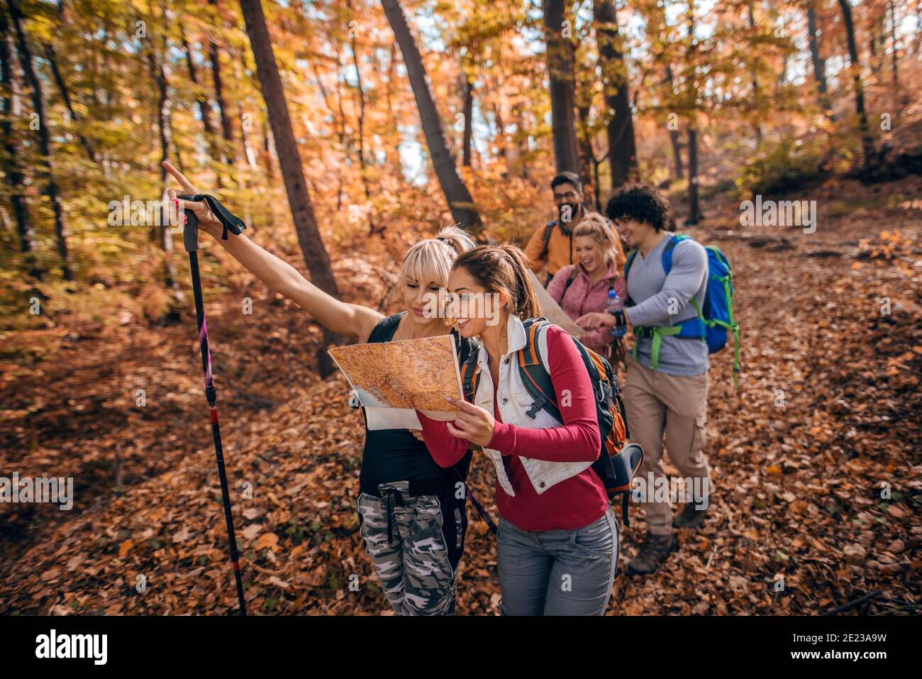 Group of hikers in woods. Women looking at map and leading the rest of ...