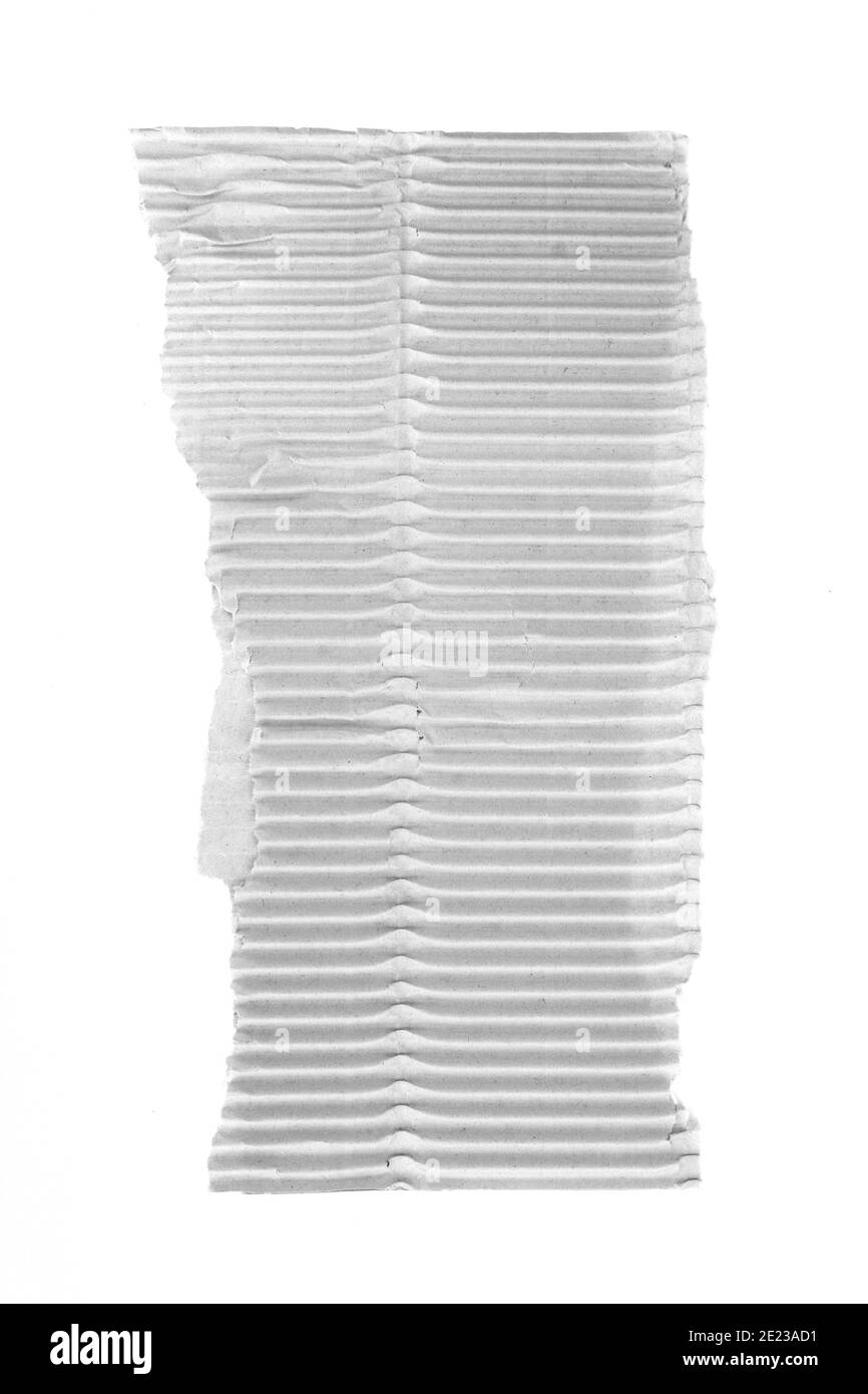 cardboard torn edge. cardboard background isolated on white. Piece of ...