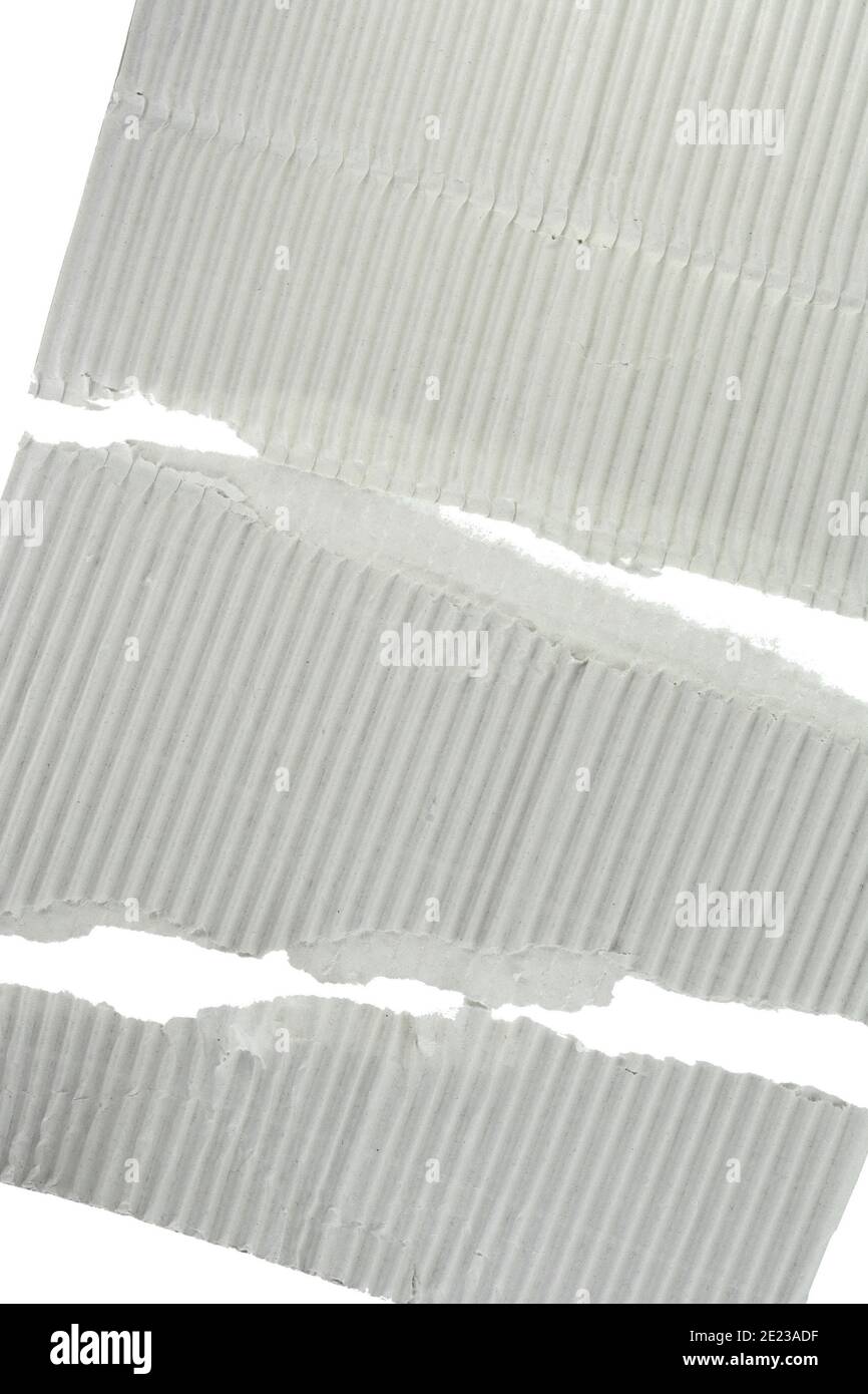 cardboard torn edge. cardboard background isolated on white. Piece of ...