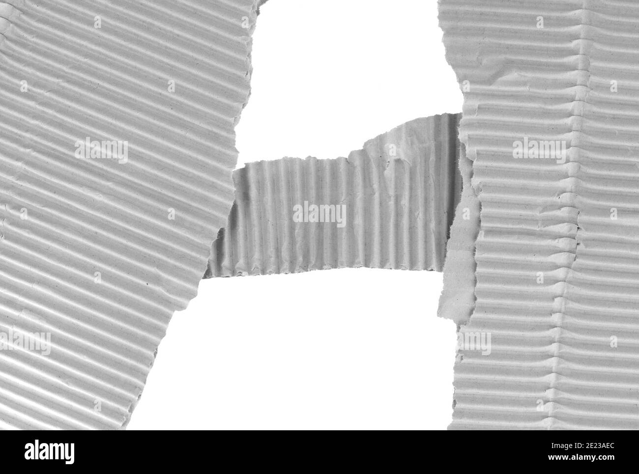 cardboard torn edge. cardboard background isolated on white. Piece of ...