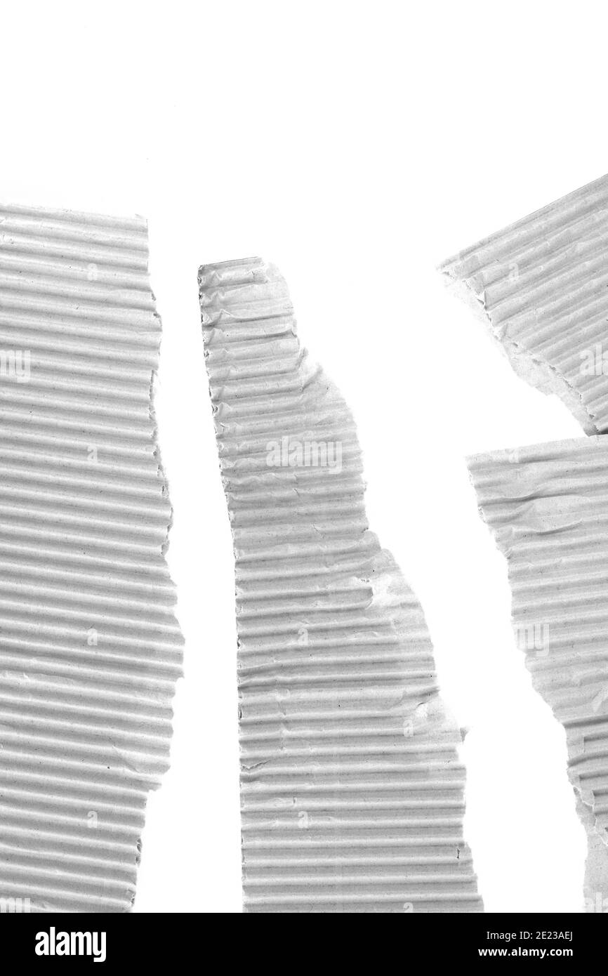 cardboard torn edge. cardboard background isolated on white. Piece of ...