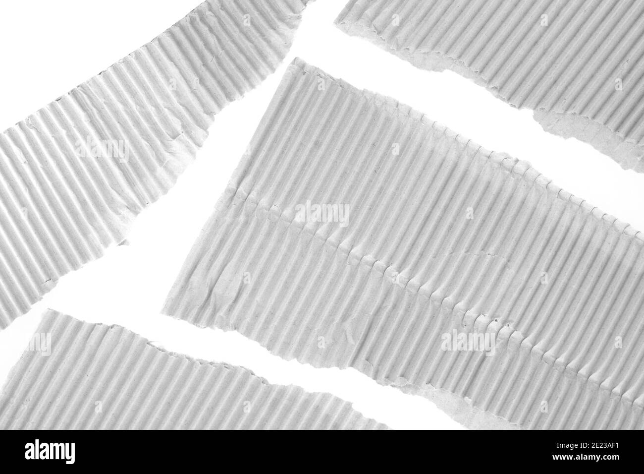 cardboard torn edge. cardboard background isolated on white. Piece of ...