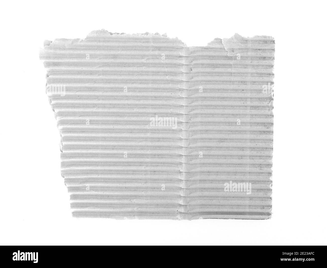 cardboard torn edge. cardboard background isolated on white. Piece of ...