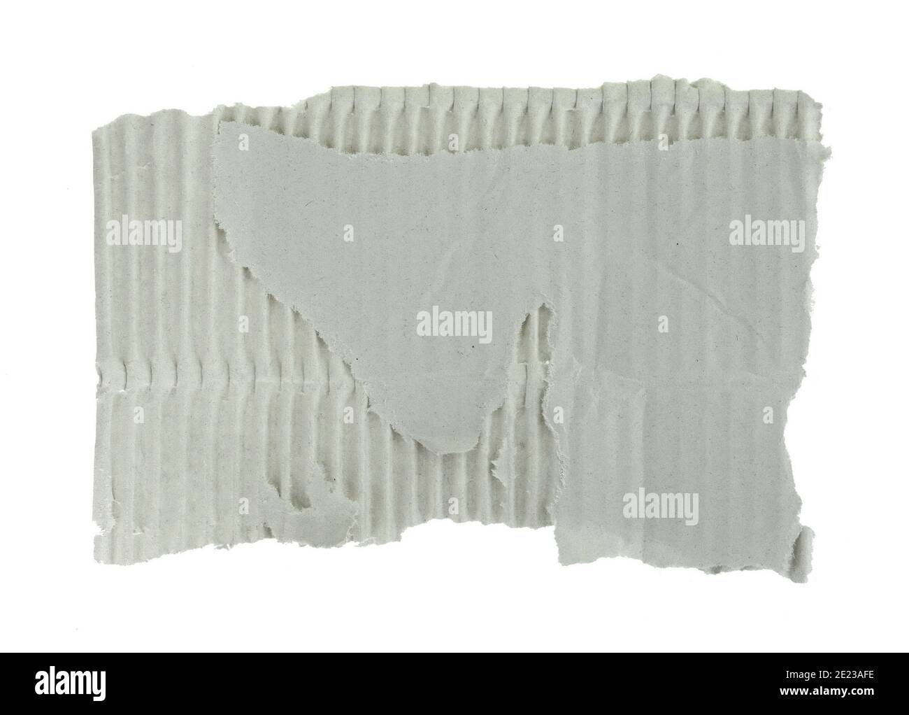 cardboard torn edge. cardboard background isolated on white. Piece of ...
