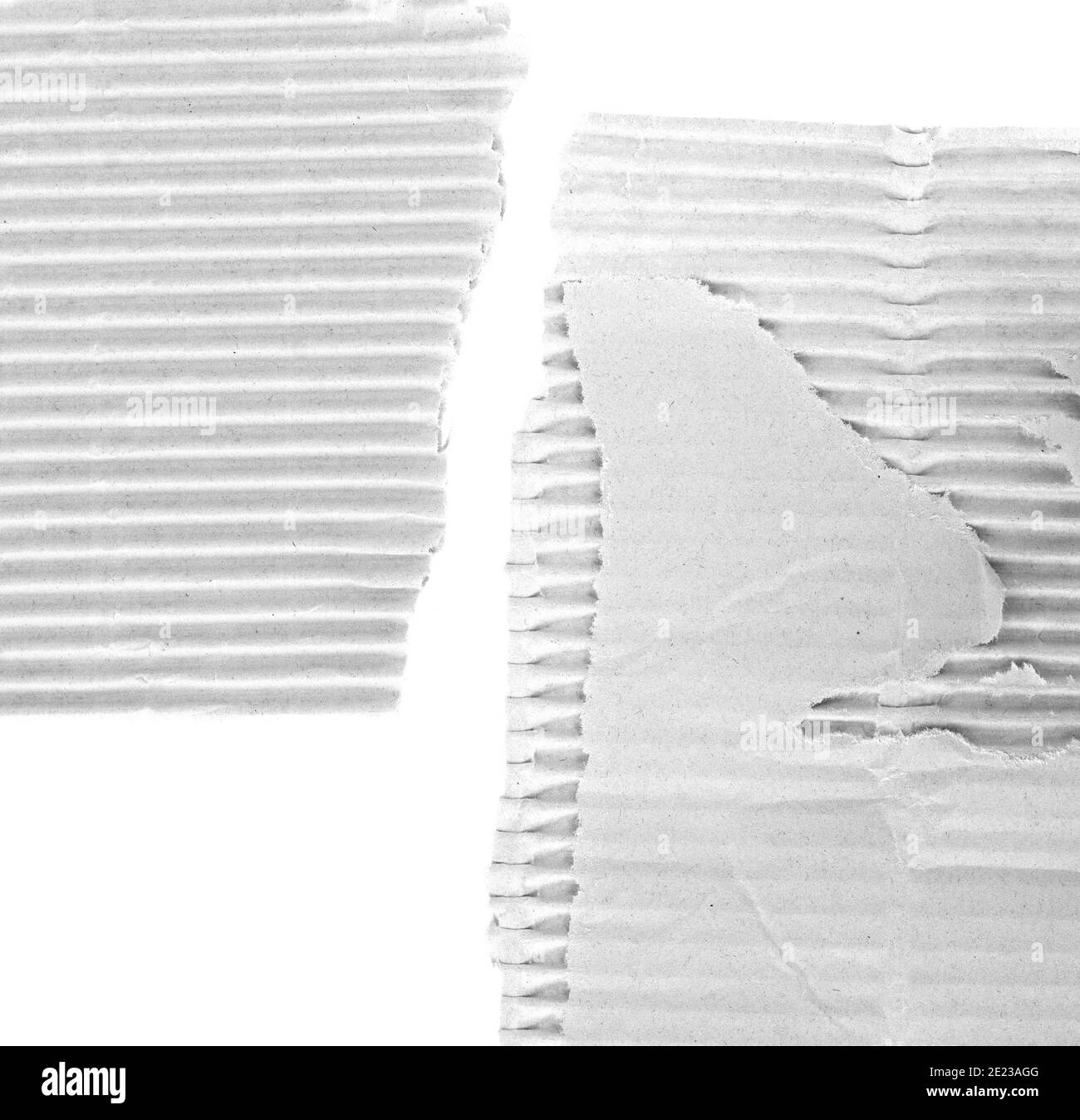 cardboard torn edge. cardboard background isolated on white. Piece of ...