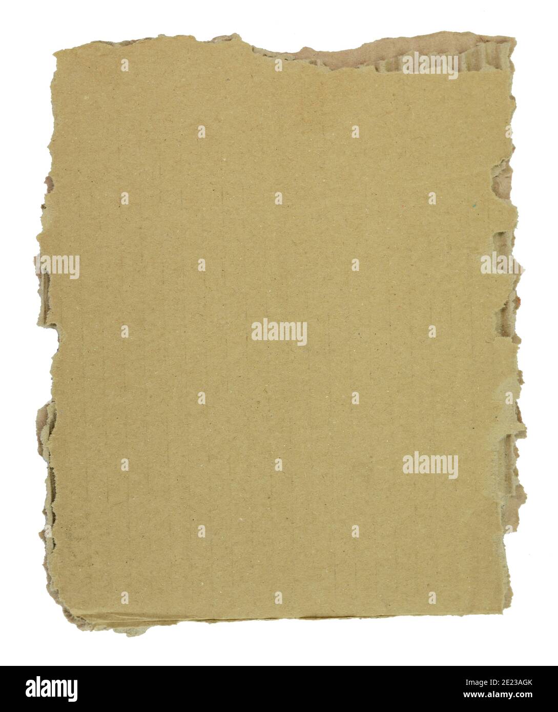 cardboard torn edge. cardboard background isolated on white. Piece of ...