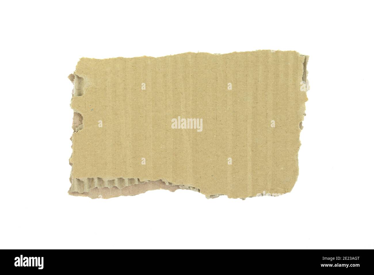 cardboard torn edge. cardboard background isolated on white. Piece of ...