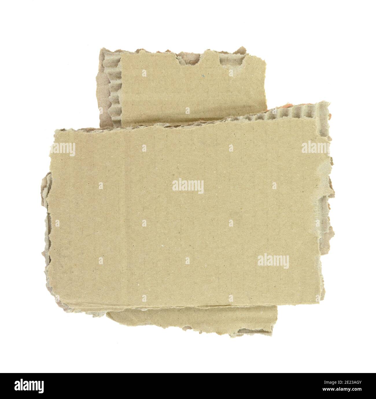 cardboard torn edge. cardboard background isolated on white. Piece of ...