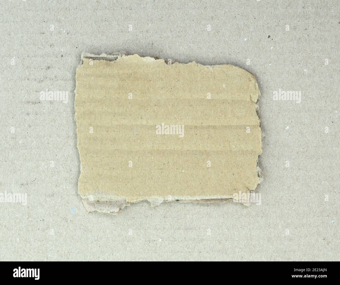 Cardboard texture. cardboard background . Piece of corrugated cardboard ...