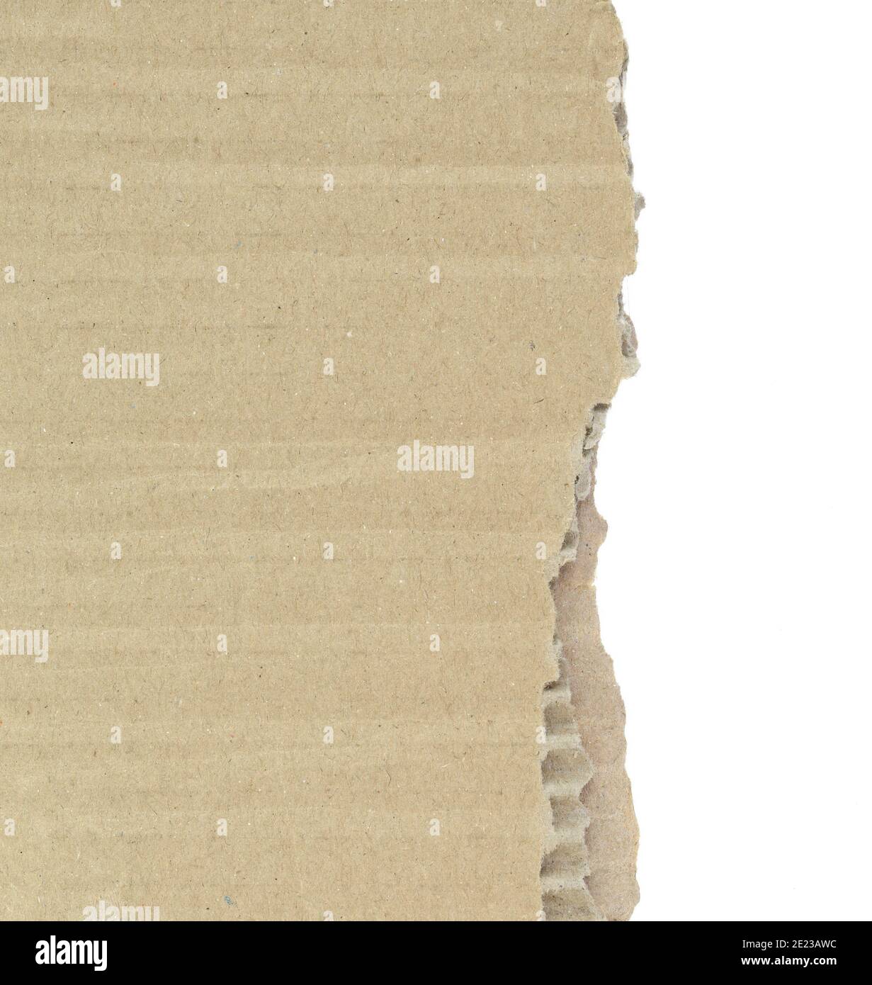 cardboard torn edge. cardboard background isolated on white. Piece of ...