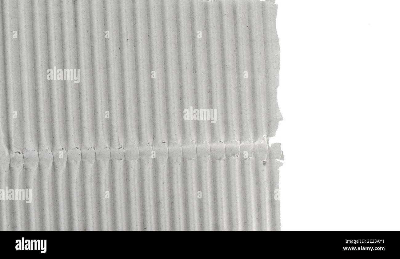 cardboard torn edge. cardboard background isolated on white. Piece of ...