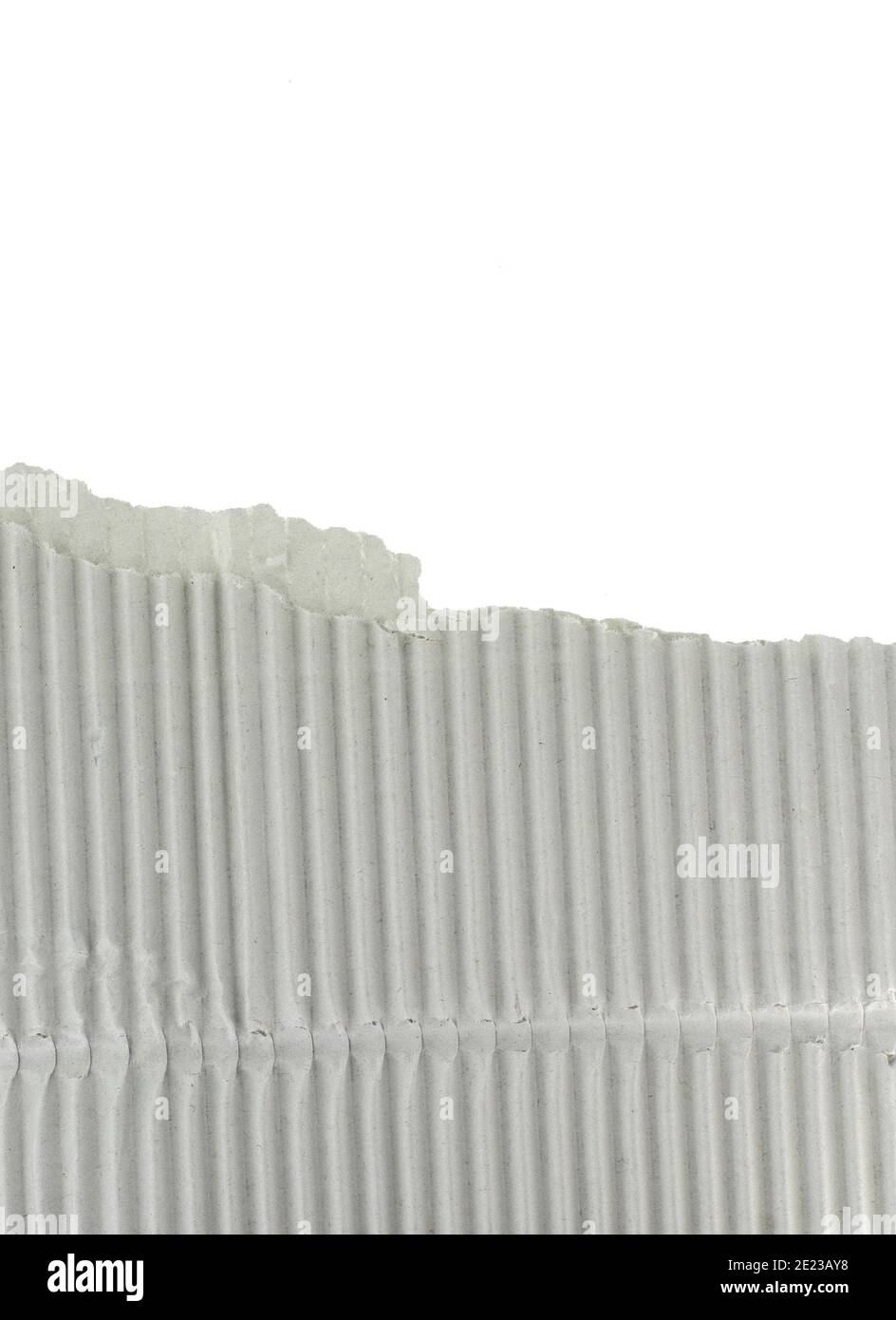 cardboard torn edge. cardboard background isolated on white. Piece of ...