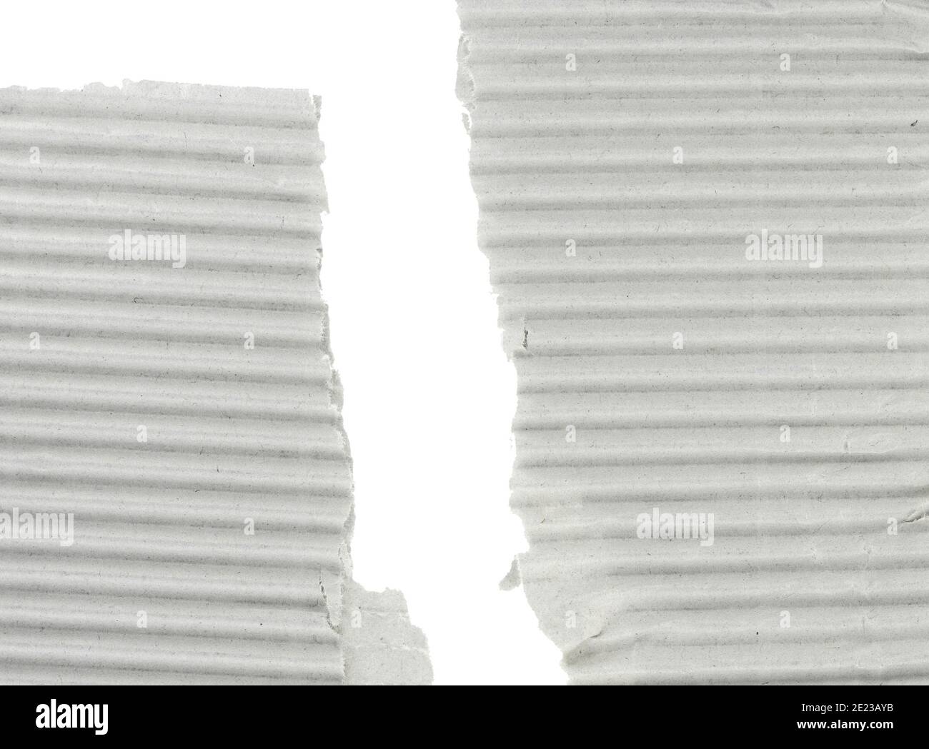 cardboard torn edge. cardboard background isolated on white. Piece of ...