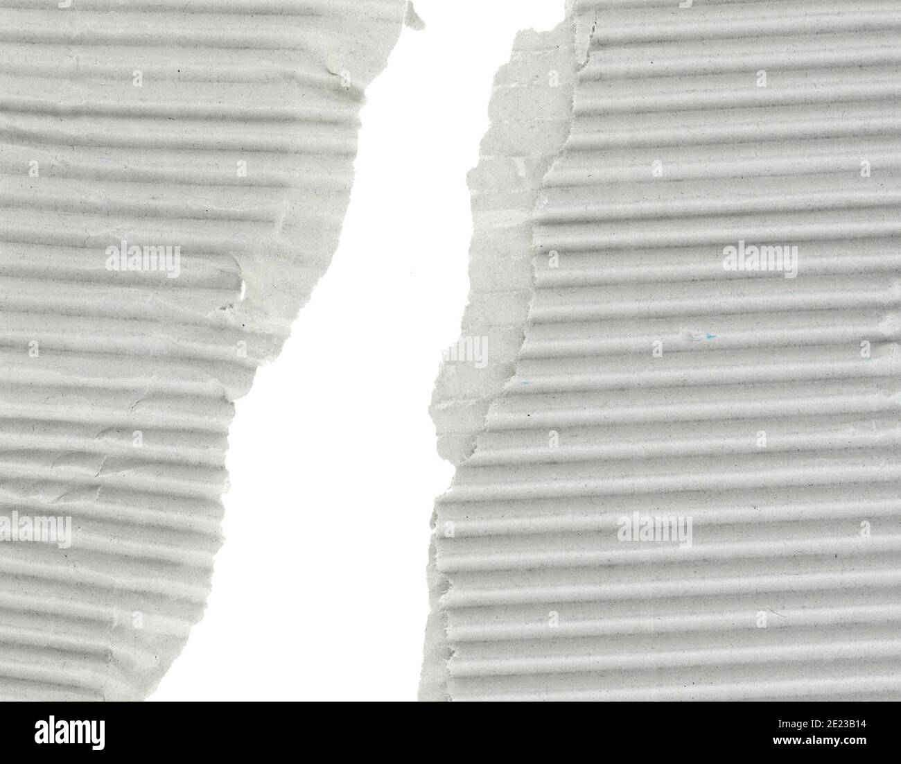 cardboard torn edge. cardboard background isolated on white. Piece of ...