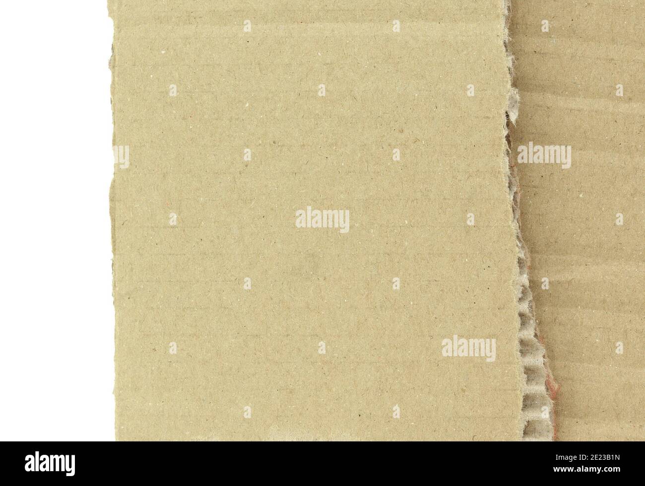 cardboard torn edge. cardboard background isolated on white. Piece of ...