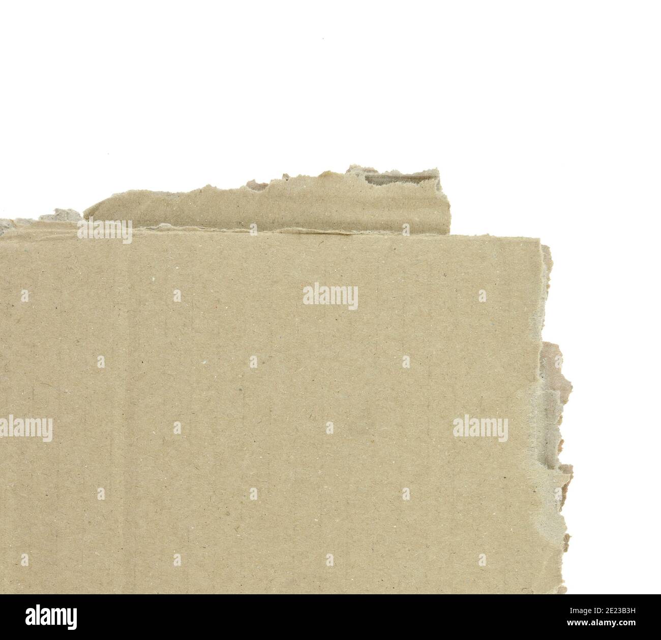 cardboard torn edge. cardboard background isolated on white. Piece of ...