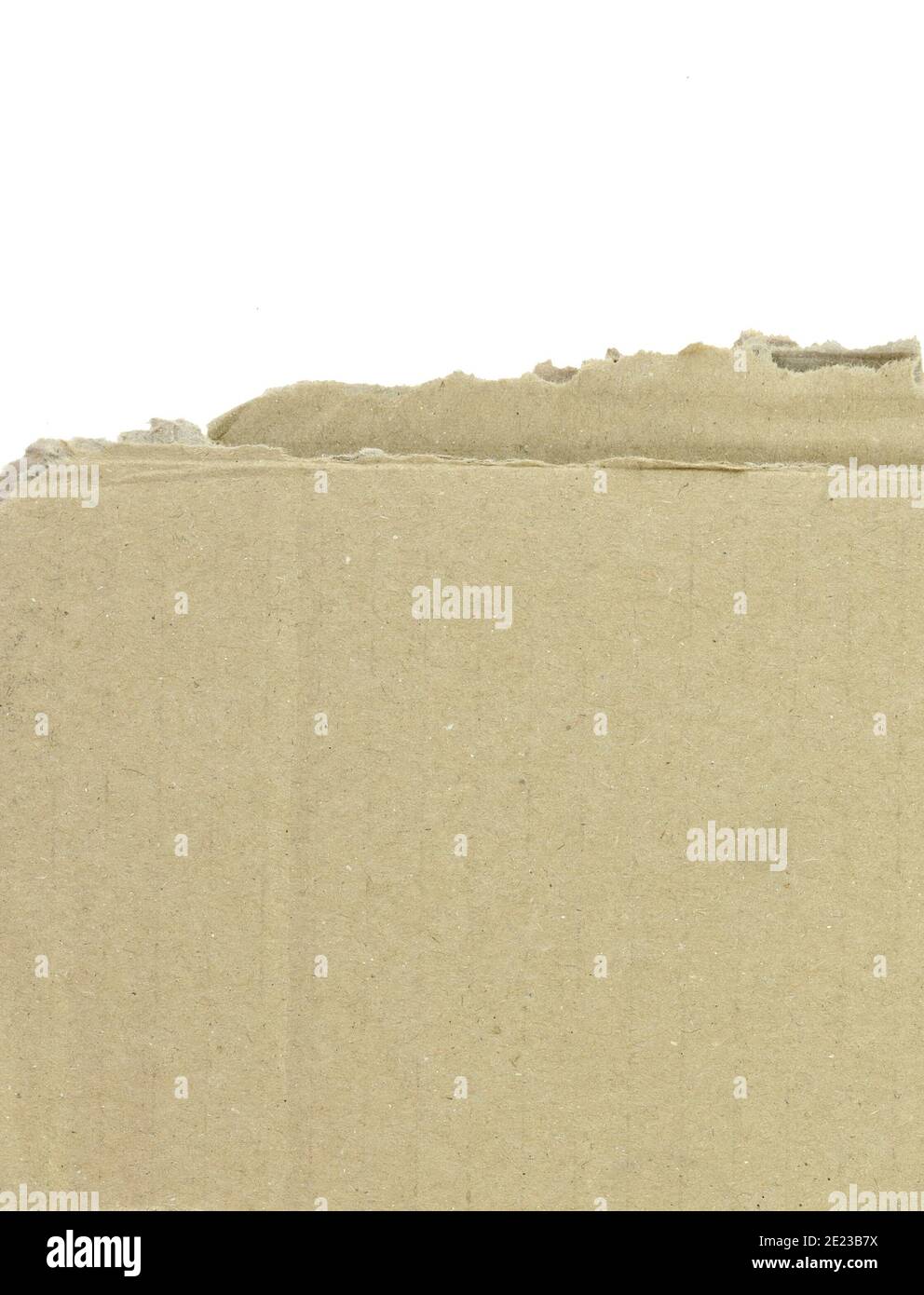 cardboard torn edge. cardboard background isolated on white. Piece of ...