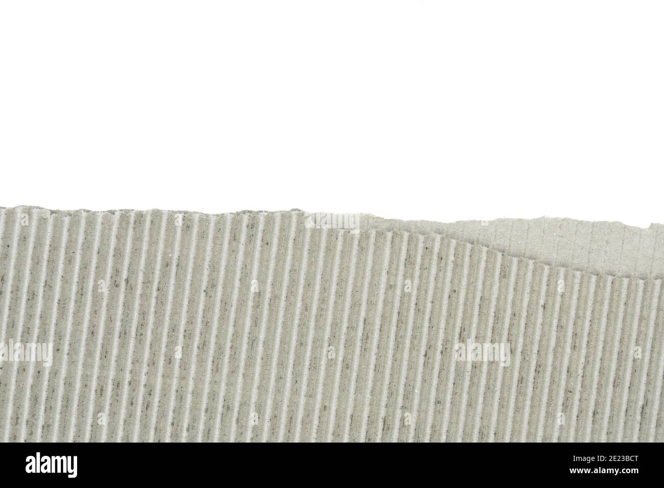 cardboard torn edge. cardboard background isolated on white. Piece of ...