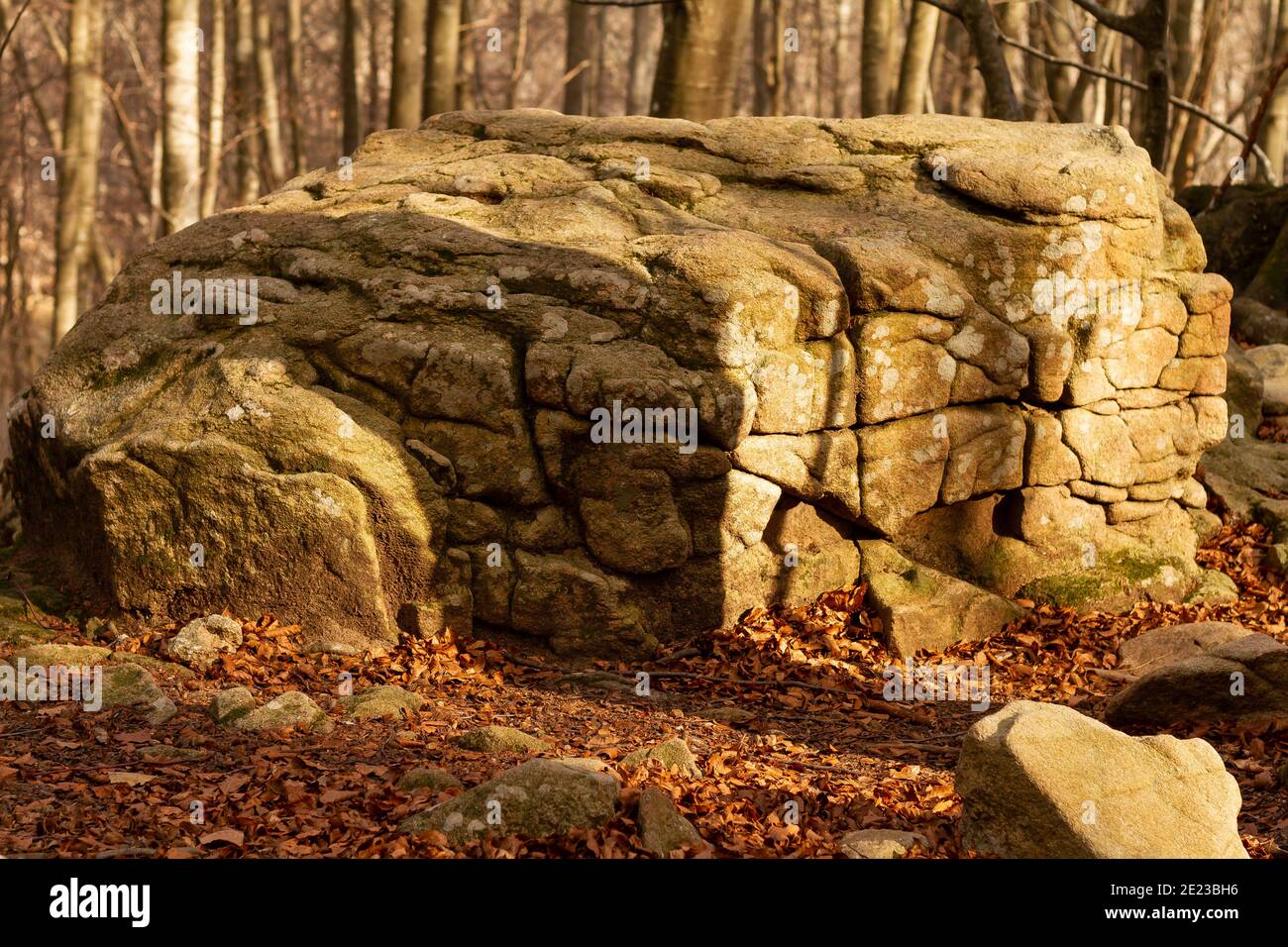 Closeup of old rock formations in a forest covered in dried leaves in ...