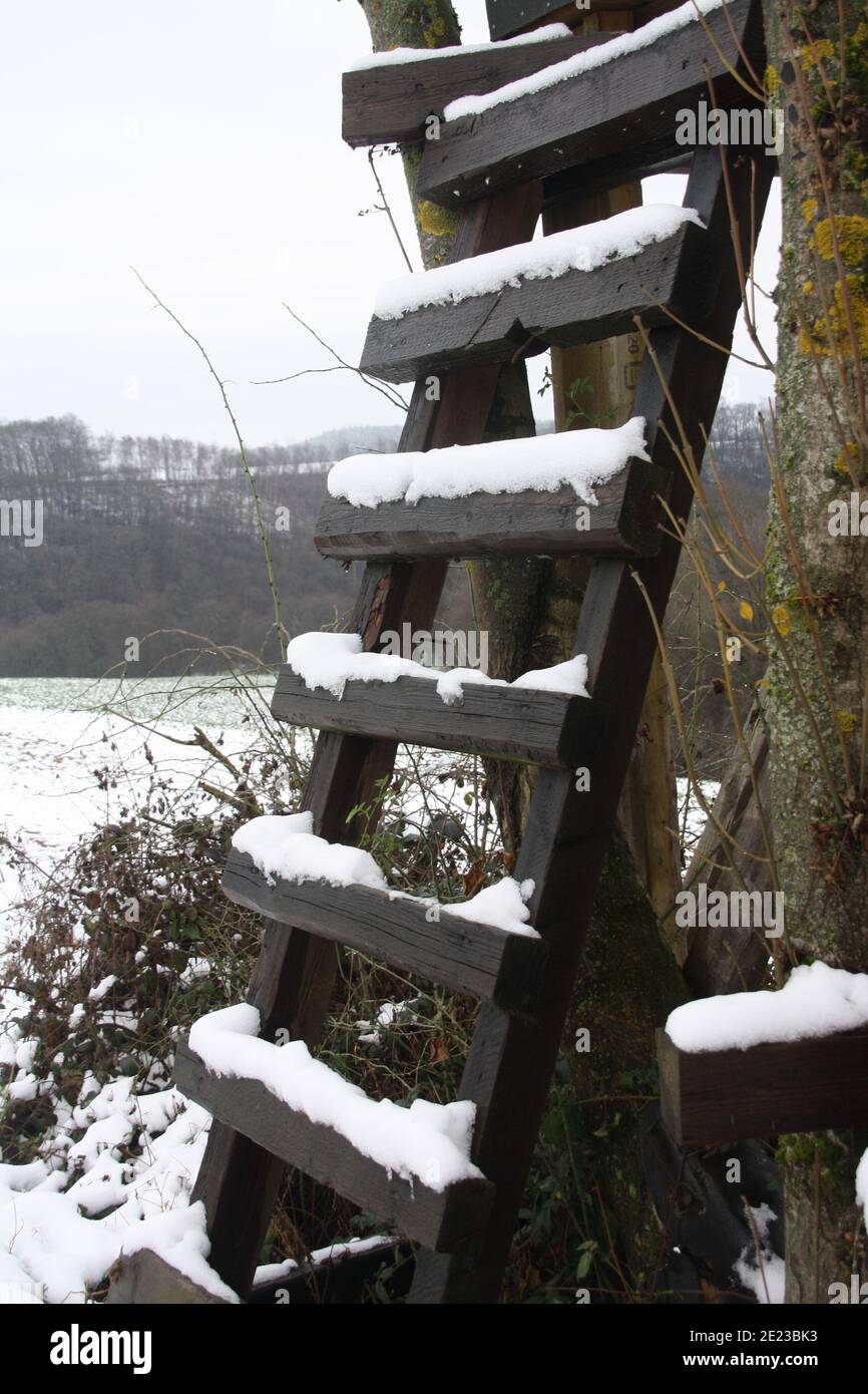 Snow-capped wooden ladder Stock Photo - Alamy