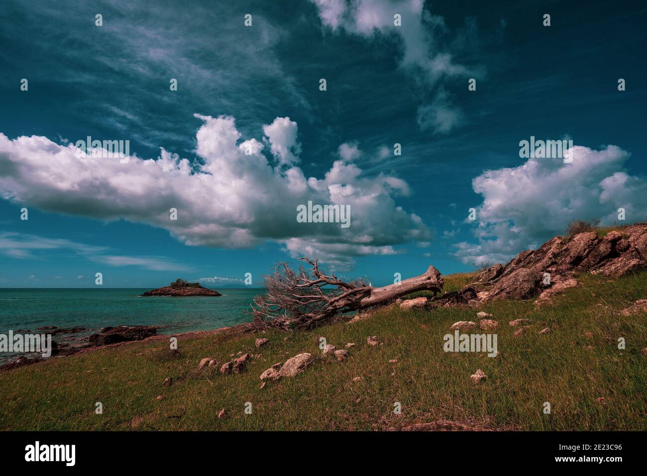 The Caribbean Sea on Antigua and Barbuda Beach Stock Photo - Alamy