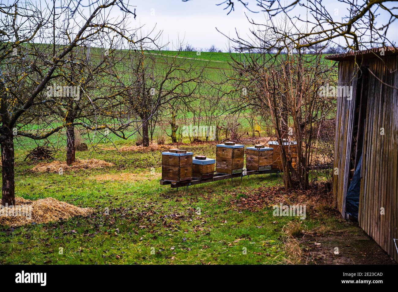 Bee boxes hi-res stock photography and images - Alamy