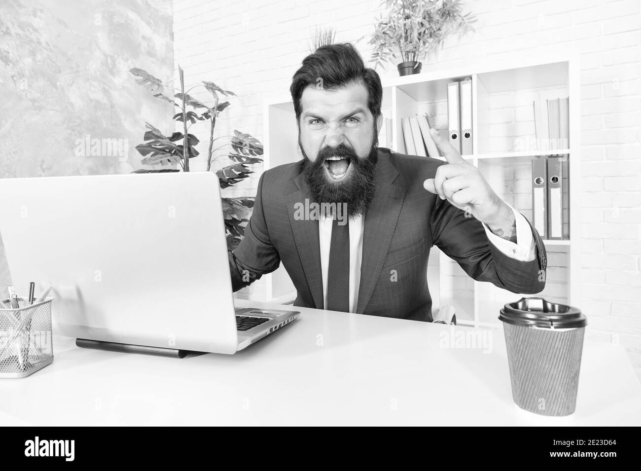 Man confident director work online laptop modern office, earn money ...