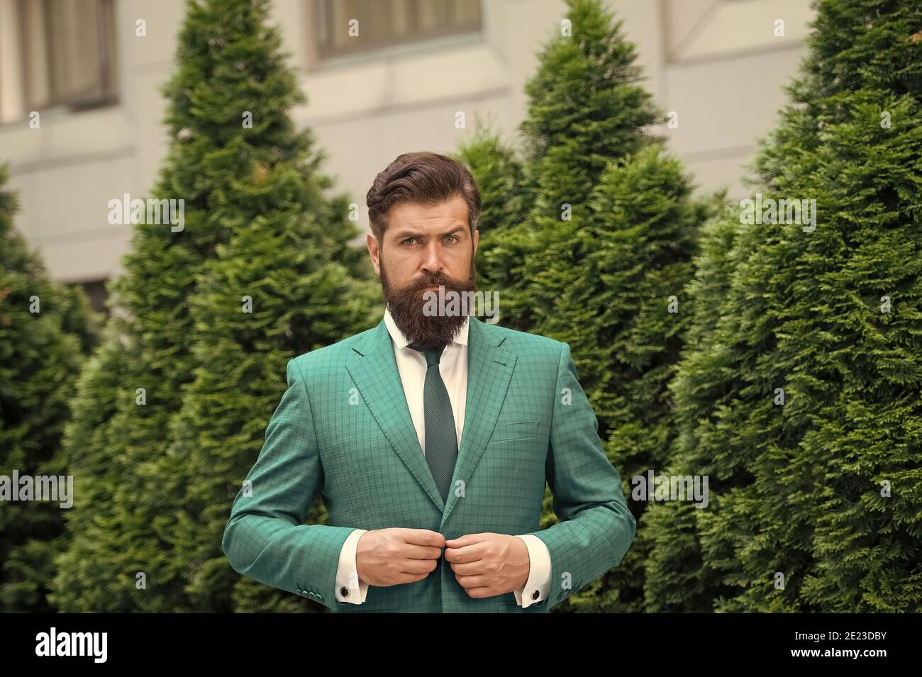 Successful and motivated. Business man bearded wear perfect fashionable ...