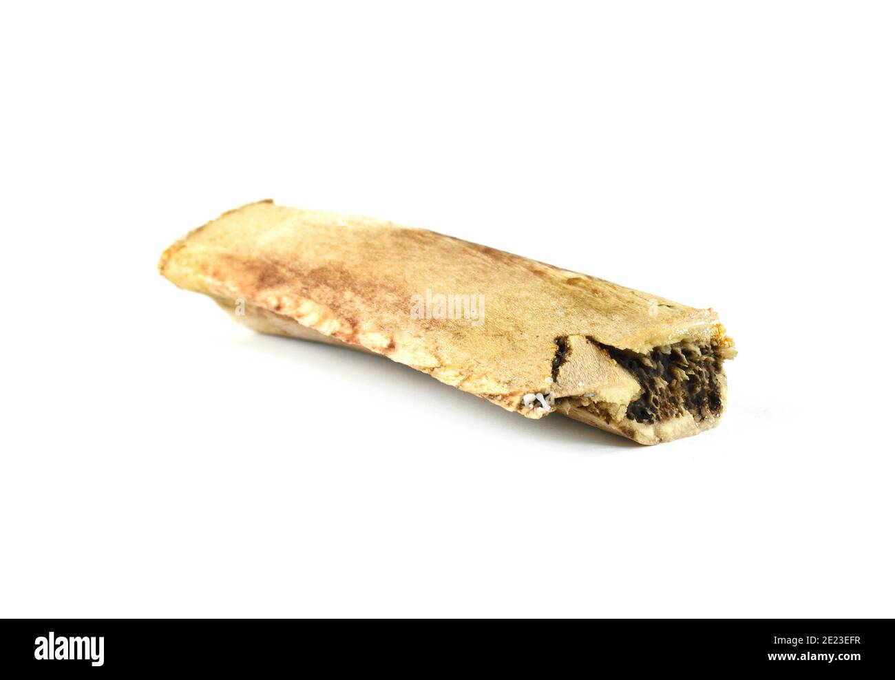 old bone isolated on white background Stock Photo - Alamy