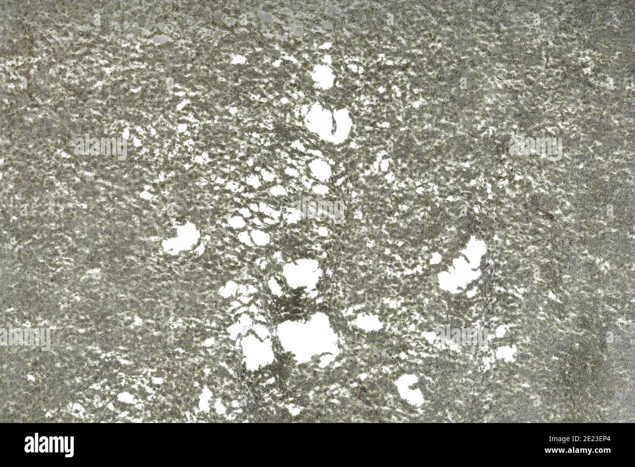 Old dirty torn rag isolated on white background. Cleaning rag Stock ...