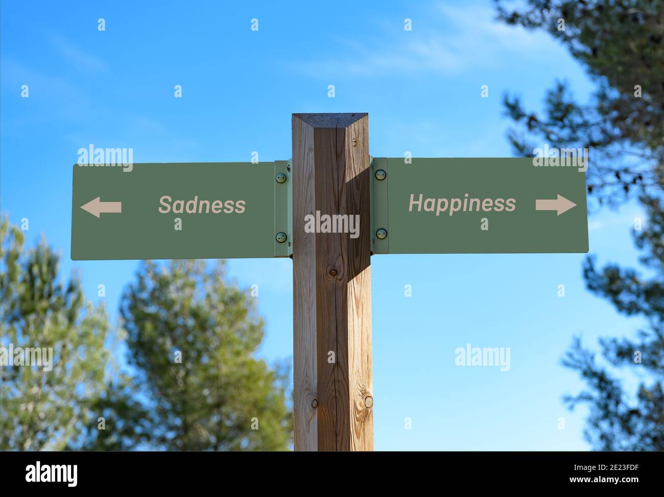 Street sign pointing opposite directions for "Sadness" and "Happiness ...