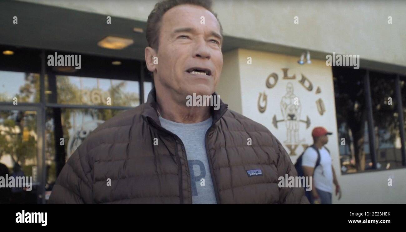 STALLONE: FRANK, THAT IS, Arnold Schwarzenegger, 2021. © Branded ...