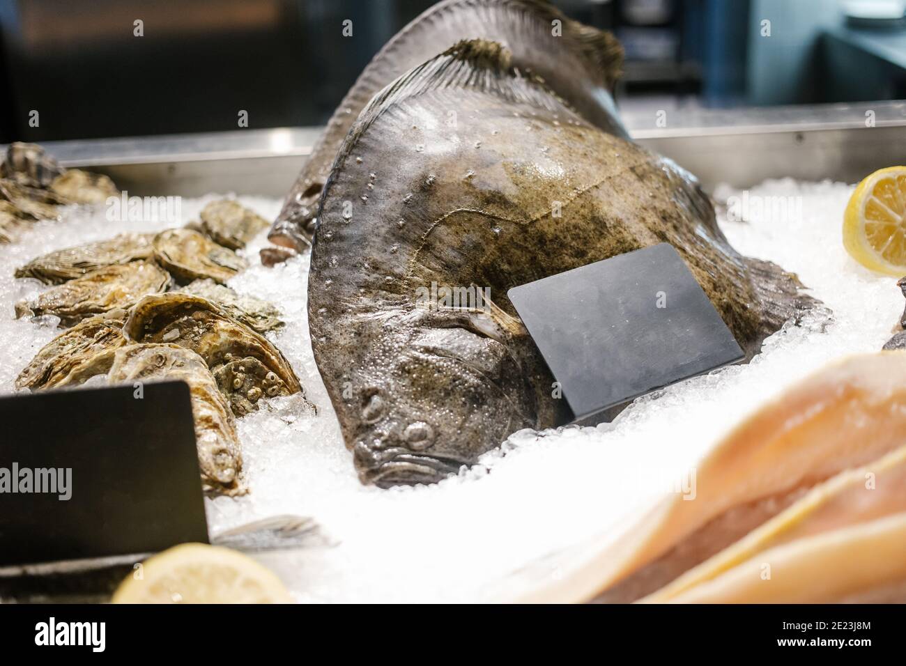 Seafood - Flounder and oysters lie on the counter on ice in store. Copy ...