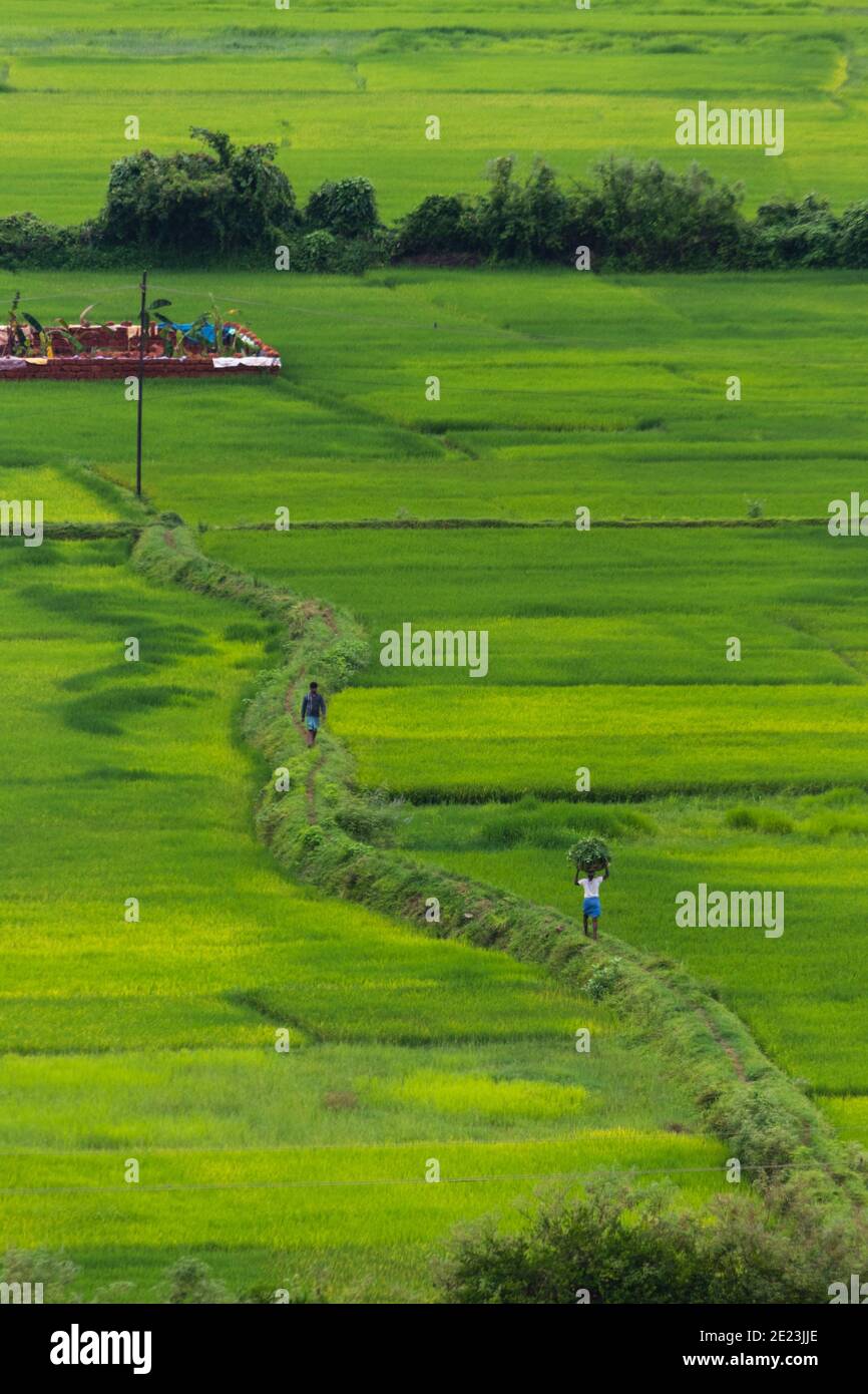 Drone agriculture india hi-res stock photography and images - Alamy