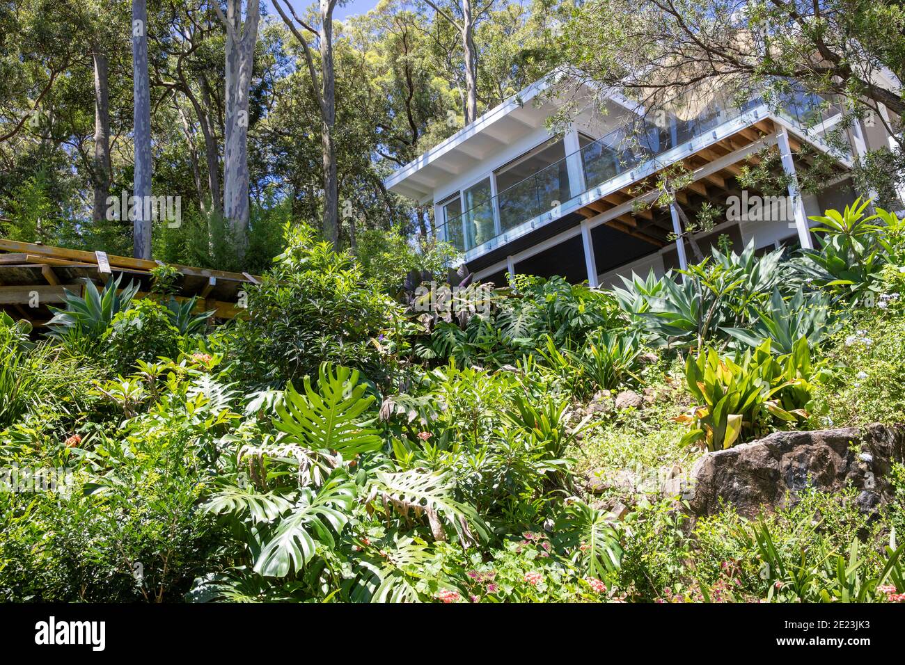 Australian coastal plants hi-res stock photography and images - Alamy