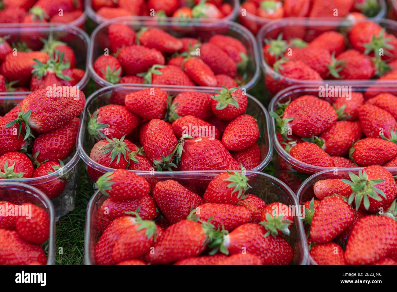 display of strawberry trays in a market place Stock Photo - Alamy