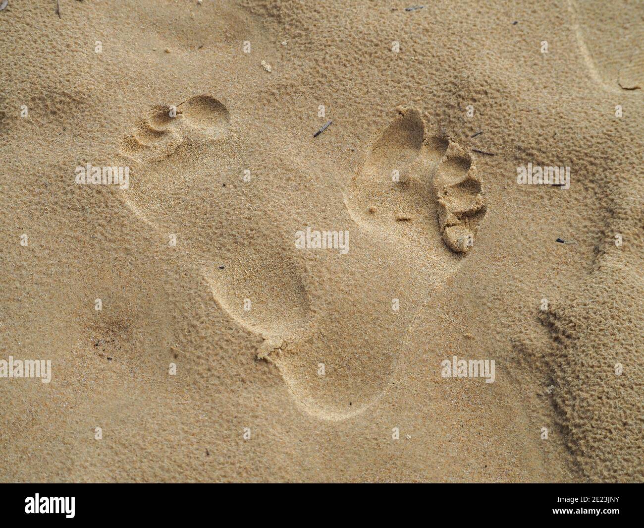 Feet prints, pair of footprints in the sand at the beach, left and ...