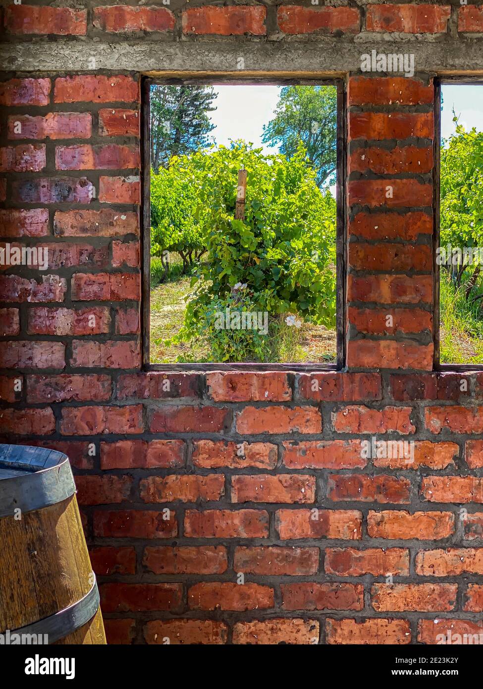 View of vineyard through window Stock Photo - Alamy