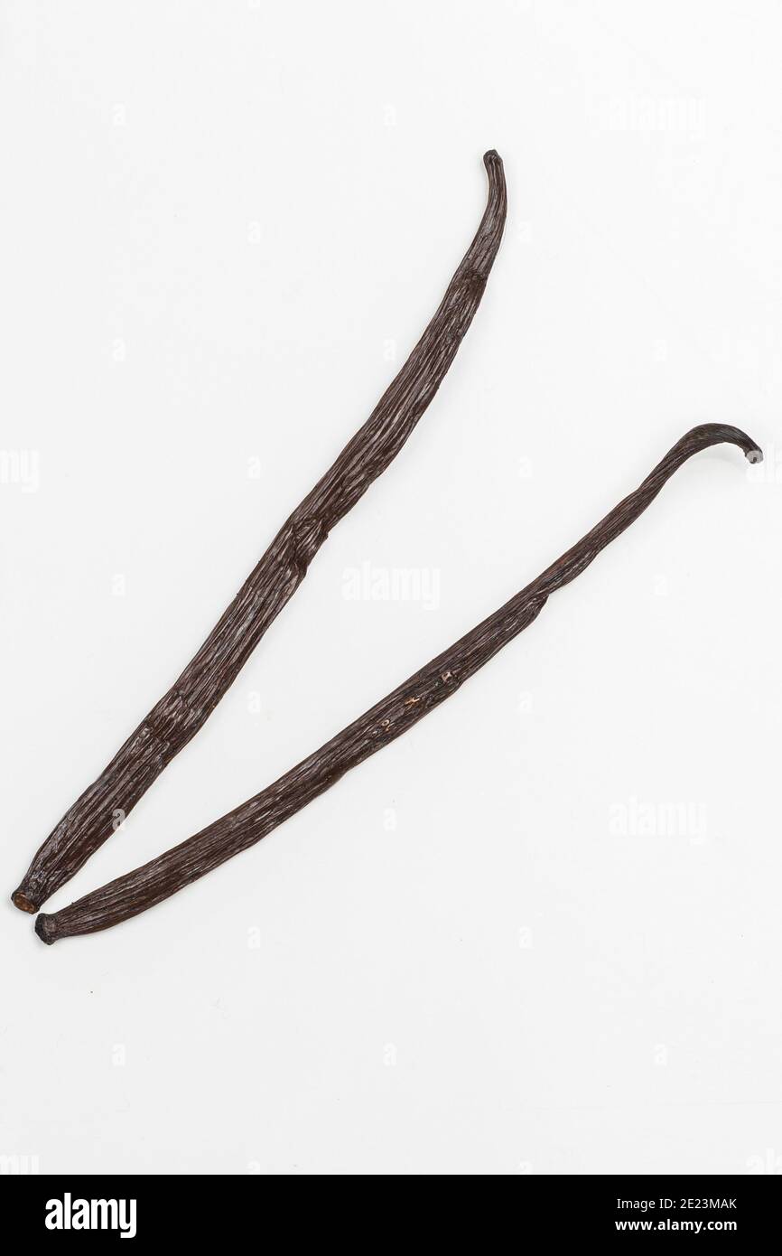 Vanilla a hi-res stock photography and images - Alamy