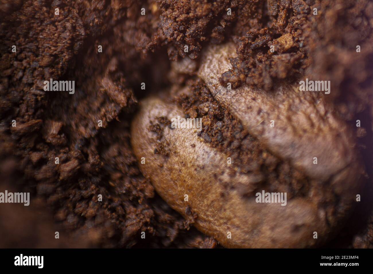 Fresh grounded beans hi-res stock photography and images - Alamy