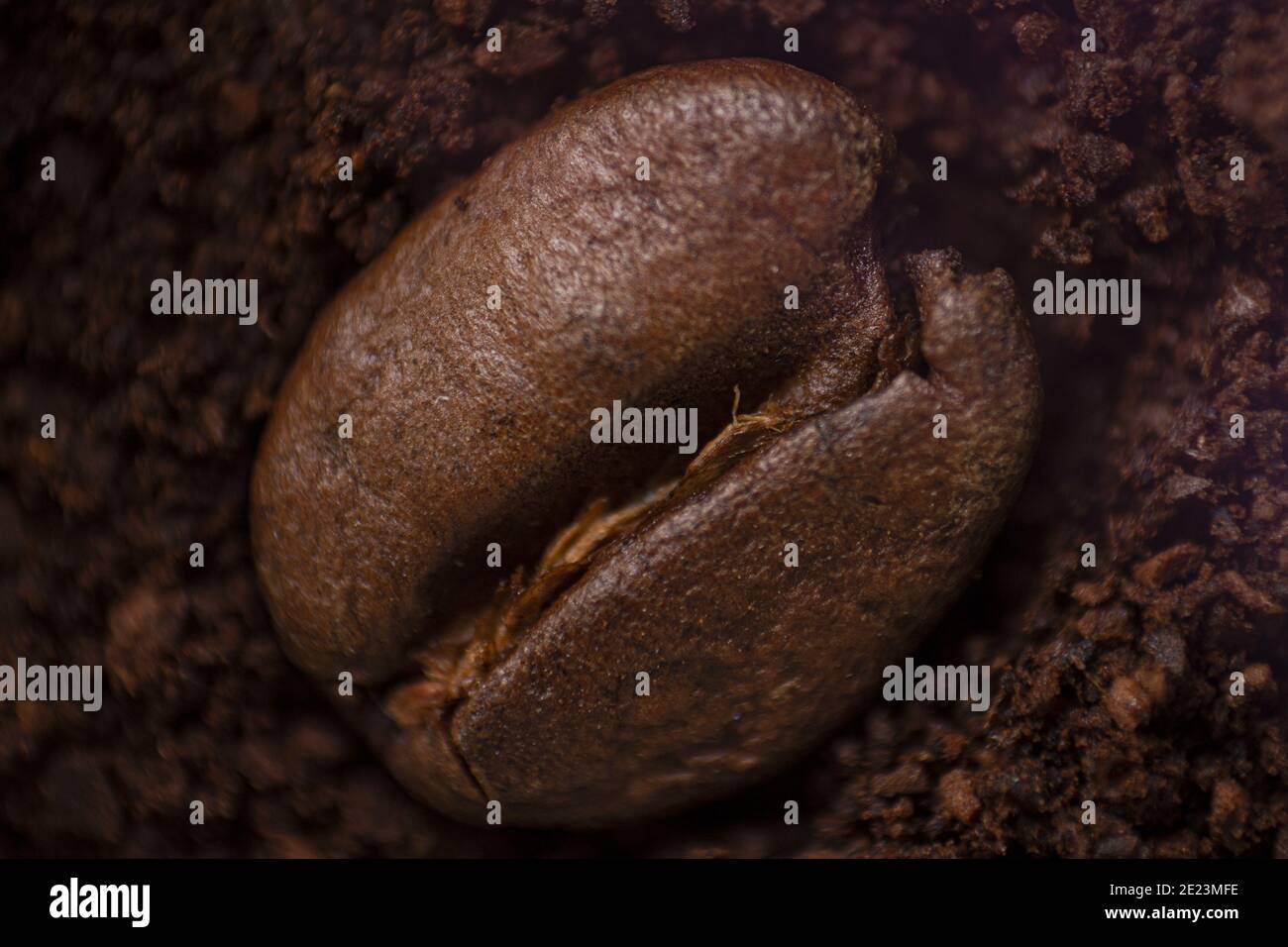 Fresh grounded beans hi-res stock photography and images - Alamy